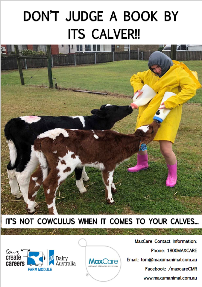 Vote for your favourite Cows Create Careers Advert - MaxCare