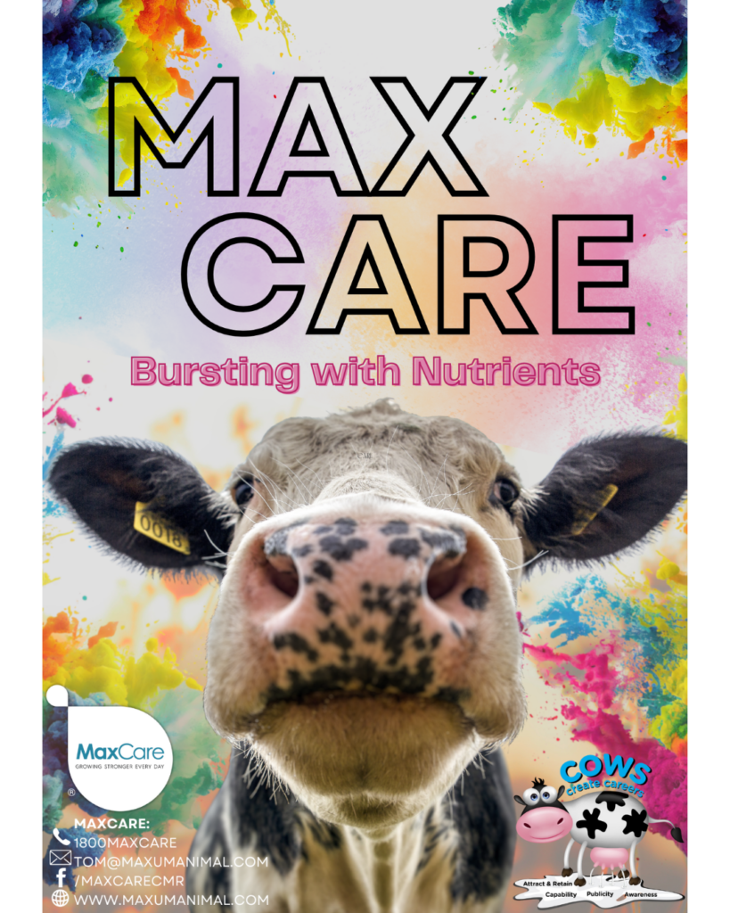 VOTE NOW! Cows Create Careers Advert Competition 2024 - MaxCare