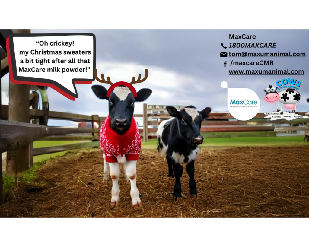VOTE NOW! Cows Create Careers Advert Competition 2024 - MaxCare